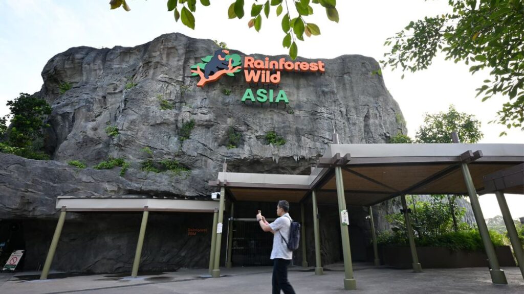 Rainforest Wild Asia in Mandai Opens on March 12: Adventure & Wildlife ...